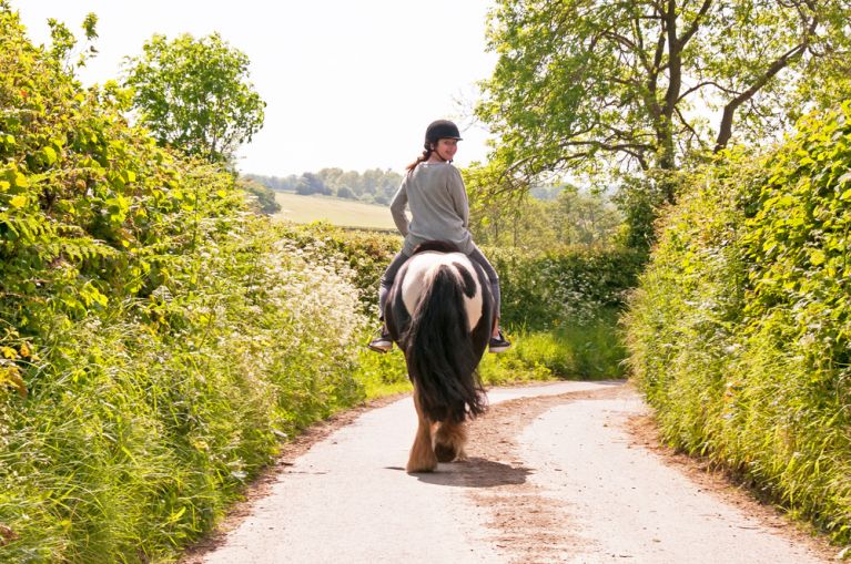 Horse Riding near to Alpine Park Cottages nr Budleigh Salterton Devon