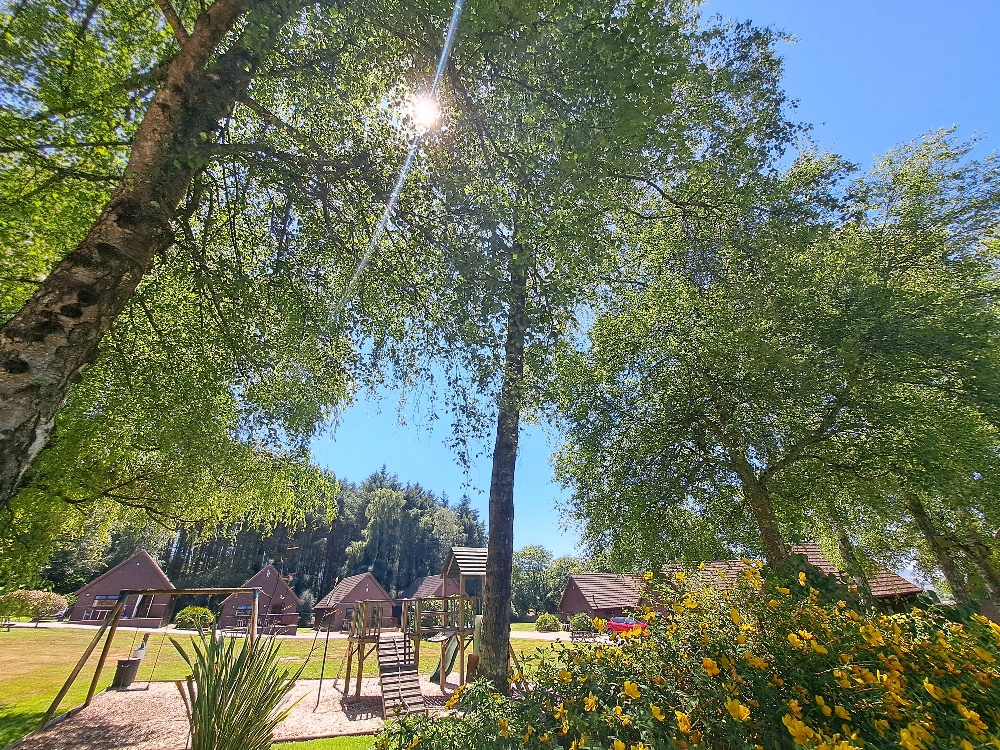 Summer holidays at Alpine Park Cottages