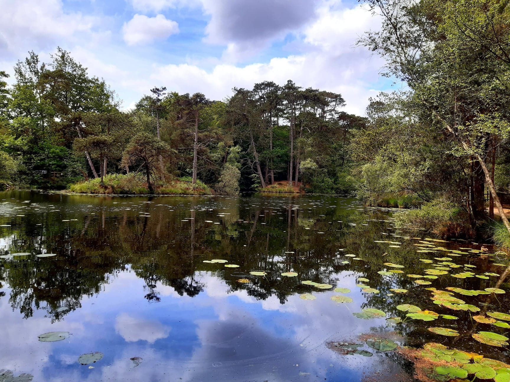 Bird watching nature reserves near Exeter and East devon