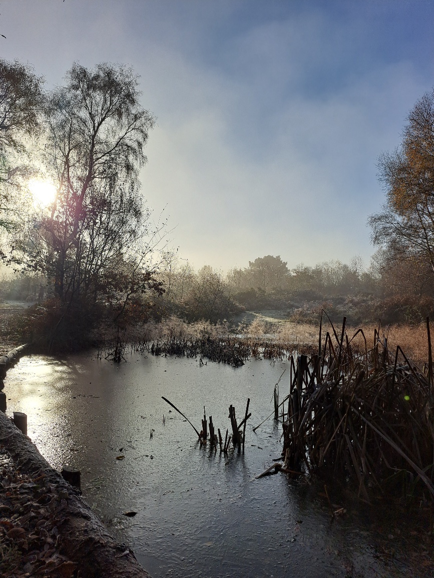 Winter news from Alpine Park Cottages
